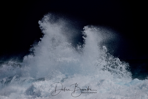 Debra Banks - Official Website